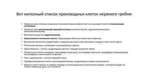Источники и основные этапы развития органов нервной системы презентация онлайн
