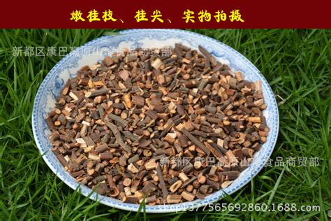 批发经方中药材桂枝 嫩桂枝桂枝尖桂尖量大从优 阿里巴巴