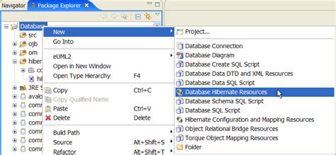 Eclipsedatabase Database Hibernate Resources