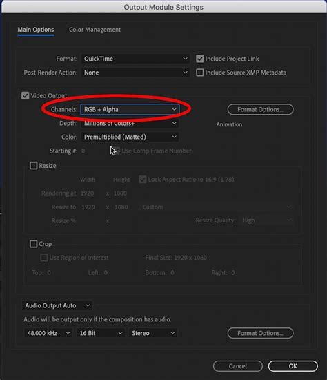 How To Render Export In After Effects A Tutorial With Tips Motion Array