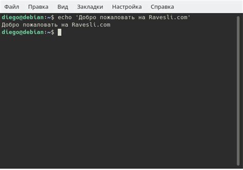 Что такое Bash в Linux Гайд по созданию Bash скриптов Ravesli