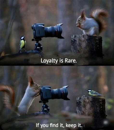 Sql Dataanalytics Datascience Project Python Excel Learning