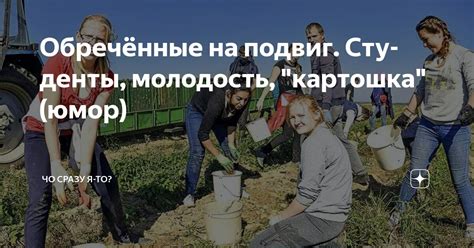 Обречённые на подвиг Студенты молодость картошка юмор Чо сразу я то Дзен
