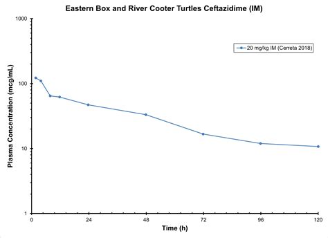 Box Turtle Ceftazidime Im Antimicrobials
