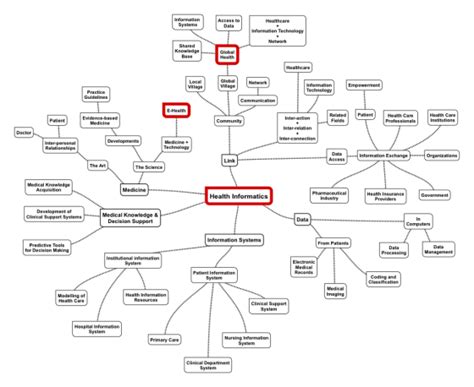 Create A Concept Map To Depict The Interrelationships Between Health
