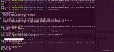 Installing Torch And Torchvision