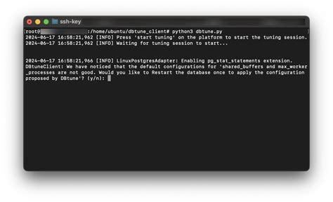 postgresql dbtune