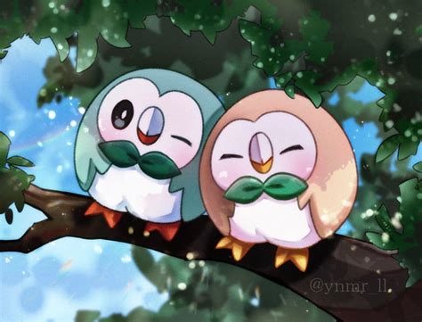 Rowlet Pokemon Drawn By Ynmrll Danbooru