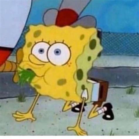 Just Spongebob Eating Grass Youtube