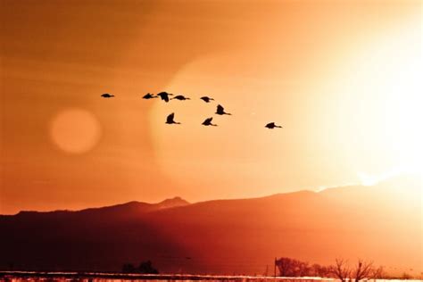 Adding Security Groups From New Ad Domain Programming And Development Spiceworks Community