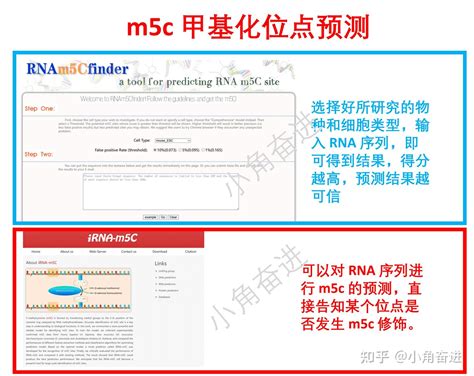 Rna修饰预测网站 知乎