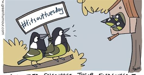 Green Humour Tits Out Tuesday