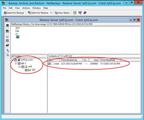 Netbackup Nbu 之 文件备份、还原 墨天轮