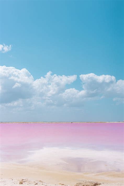 경치 경치 좋은 전망 경치가 좋은 고요한 구름 그림 같은 깨끗한 하늘 낮 다채로운 호수 라스 콜로라도 멕시코 멕시코 해안 모험 목가적인 목적지 핫