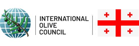 მთავარი Svanidzeolive Ge