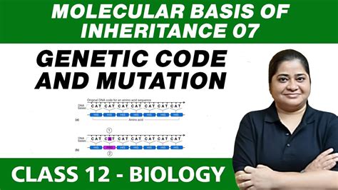 Molecular Basis Of Inheritance 07 Genetic Code And Mutation Class