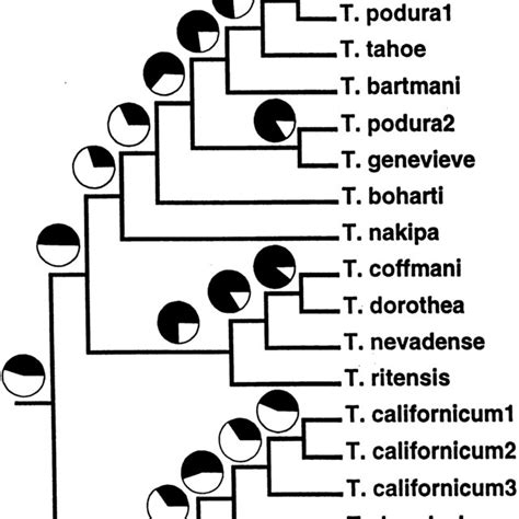 results of maximum likelihood inference of ancestral states for