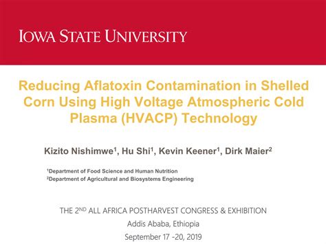 Reducing Aflatoxin Contamination In Shelled Corn Using High Voltage
