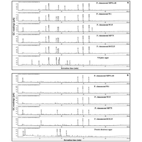 GC MS Fragmentation Patterns For A Unlabeled Styrene And B 13 Download Scientific Diagram