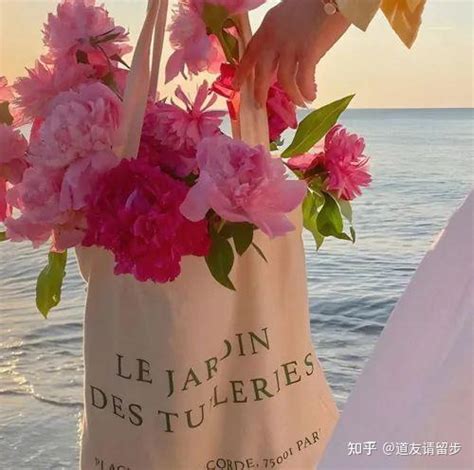 成功上岸的句子 知乎