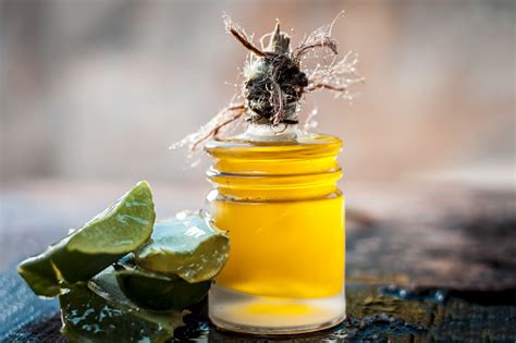 베라 알로에 베라와 머리 손실 및 미용 제품에 대 한 투명 한 병에는 추출 된 오일 건강관리와 의술에 대한 스톡 사진 및 기타