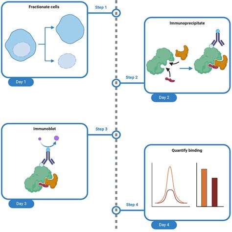 Cell Press Star Protocols