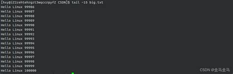 Linux系统文件读取指令 linux读取文件 CSDN博客