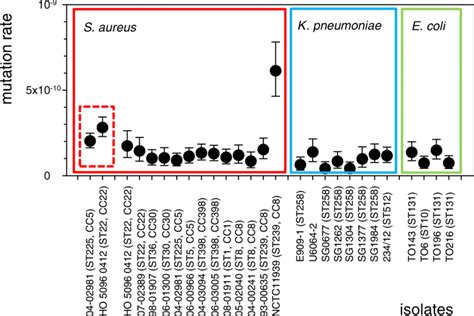 Spontaneous Mutation Rates For Bacterial Isolates From Three Species Download Scientific