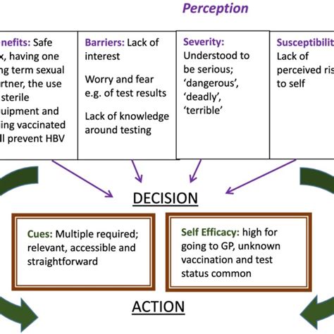 Key Findings Within The Hbm Framework Download Scientific Diagram