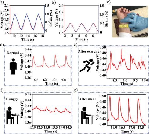 Real‐time Response Of Pua Ag Single‐layer Strain Sensor During Several Download Scientific