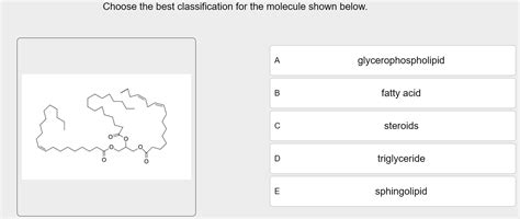 Solved Choose The Best Classification For The Molecule Shown