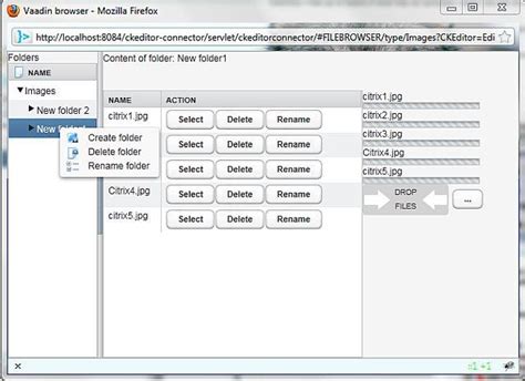 Java Connector For File Uploadingbrowsing Forums