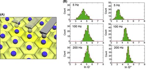 6 A Schematic Of High Throughput Afm Measurement Of Cells Arranged In