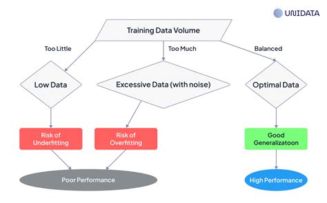 How Much Training Data Is Needed For Machine Learning Unidatapro