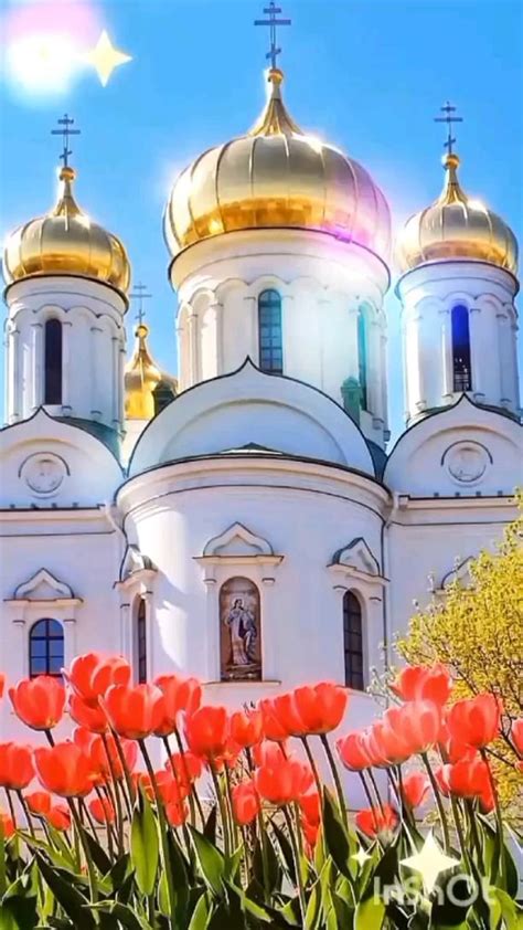 Прошу Мужские дни рождения Рождественские поздравления Счастливых праздников