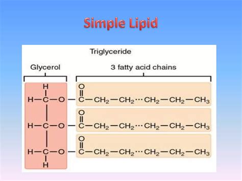 Classification Of Lipids According To Chemical Structure Pptx