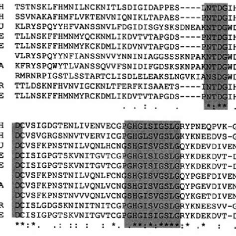 ⎯clustal format for t coffee multiple sequence alignment of exopgases