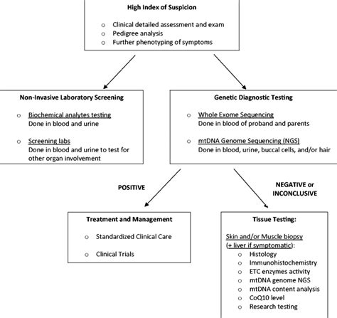 Diagnostic Algorithm For Suspected Mitochondrial Disease Download Scientific Diagram