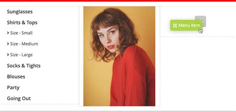 Ninja Menus Drag And Drop Menu Builder