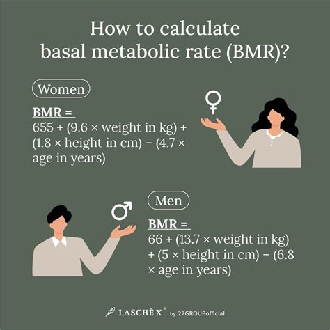 4 Ways To Increase Basal Metabolic Rate Bmr Burn Calories And Lose 27group