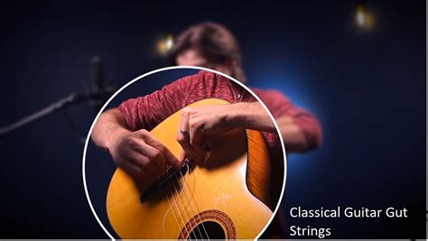Acoustic Guitar Gut Strings Clearance Laseb Fae Ufmg Br