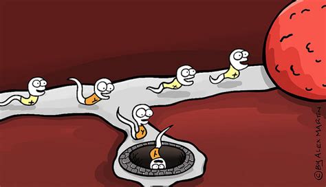 Sperm Selection Fertilization Not Random After All Psychology Today