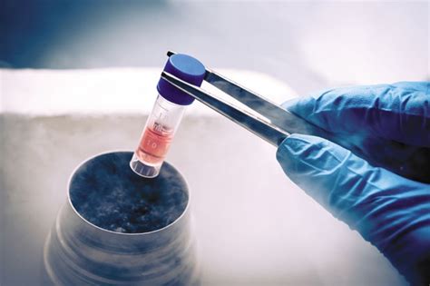 Лебдеће матичне ћелије Откривена нова метода за стварање ткива ИН4С