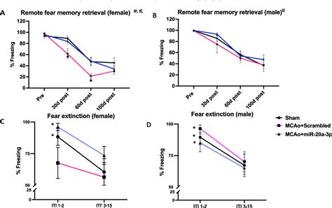Figure 1 From Sex Differences In Cognitive Impairment After Focal Ischemia In Middle Aged Rats