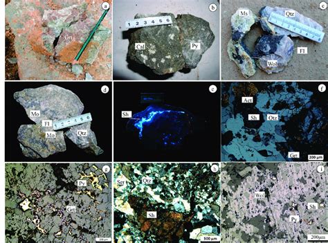 Photographs Showing Representative Mineral Assemblages And Textural Download Scientific Diagram
