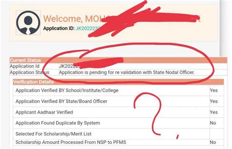 Nsp Scholarship Application Pending For Re Validation Solution Here