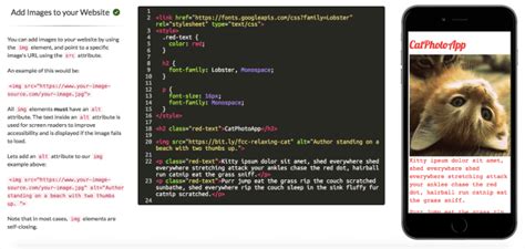 Freecodecamp Learn To Code Online The Edutech Post