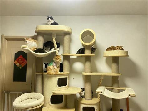 21世纪财经在线世财网