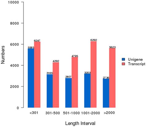 the transcript and unigene length distribution of p polysora