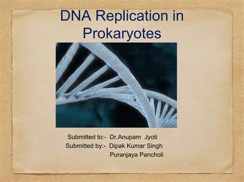 Dna Replication In Prokaryotes Pptx